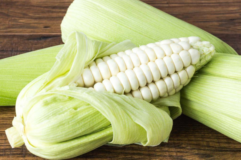 Choclo: Un vegetal con grandes beneficios para nuestra salud [VIDEO ...