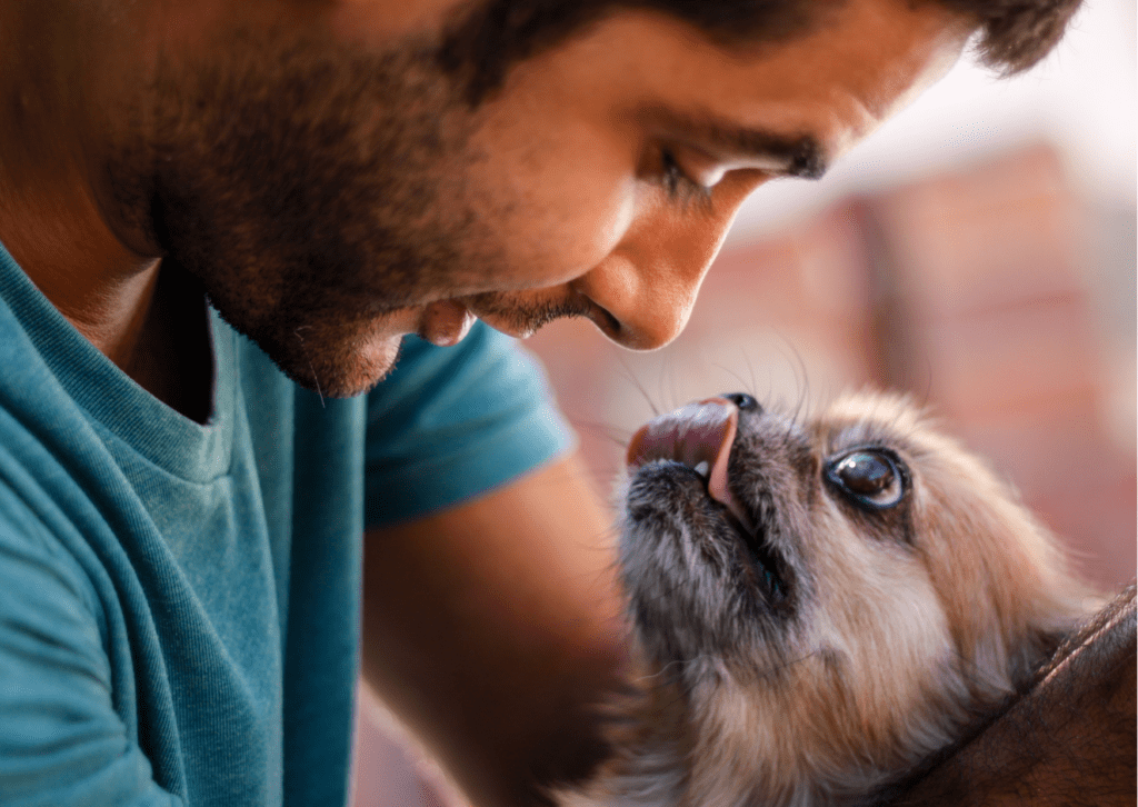 5 prácticas de amor por los animales que son dignas de imitar — Revista ...