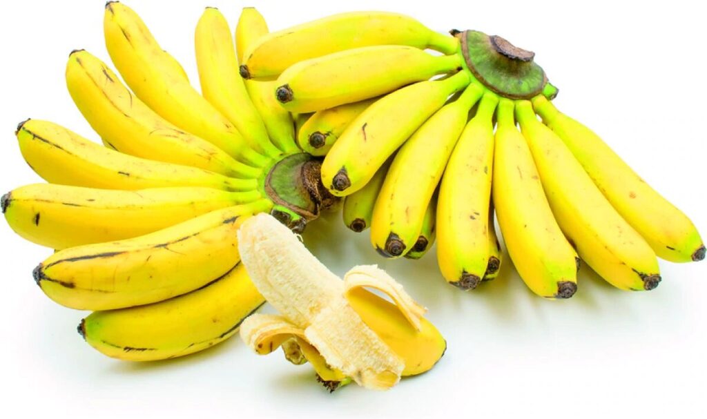 Estas son todas las variedades de plátanos que el Perú tiene para ...