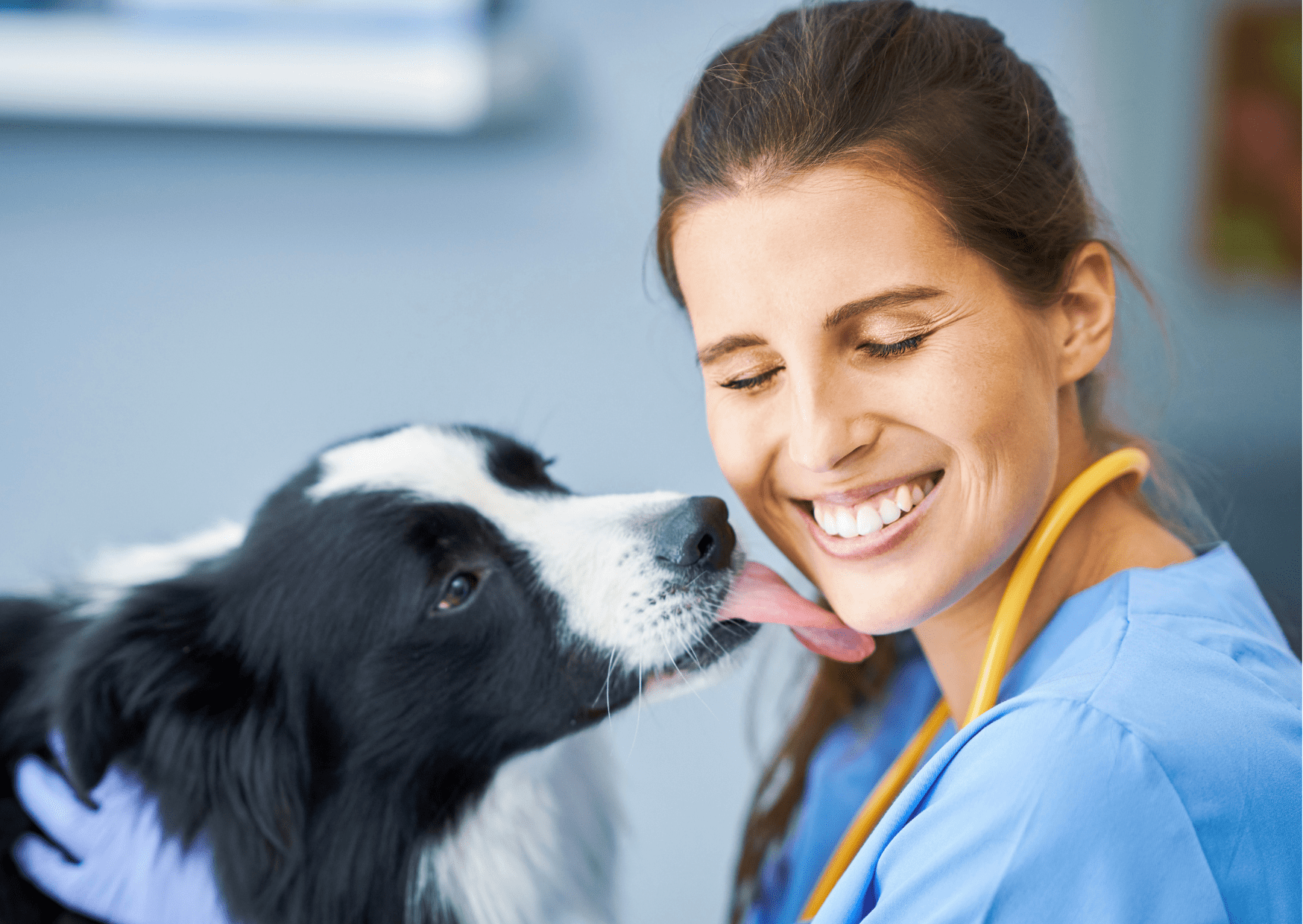 5 prácticas de amor por los animales que son dignas de imitar — Revista ...