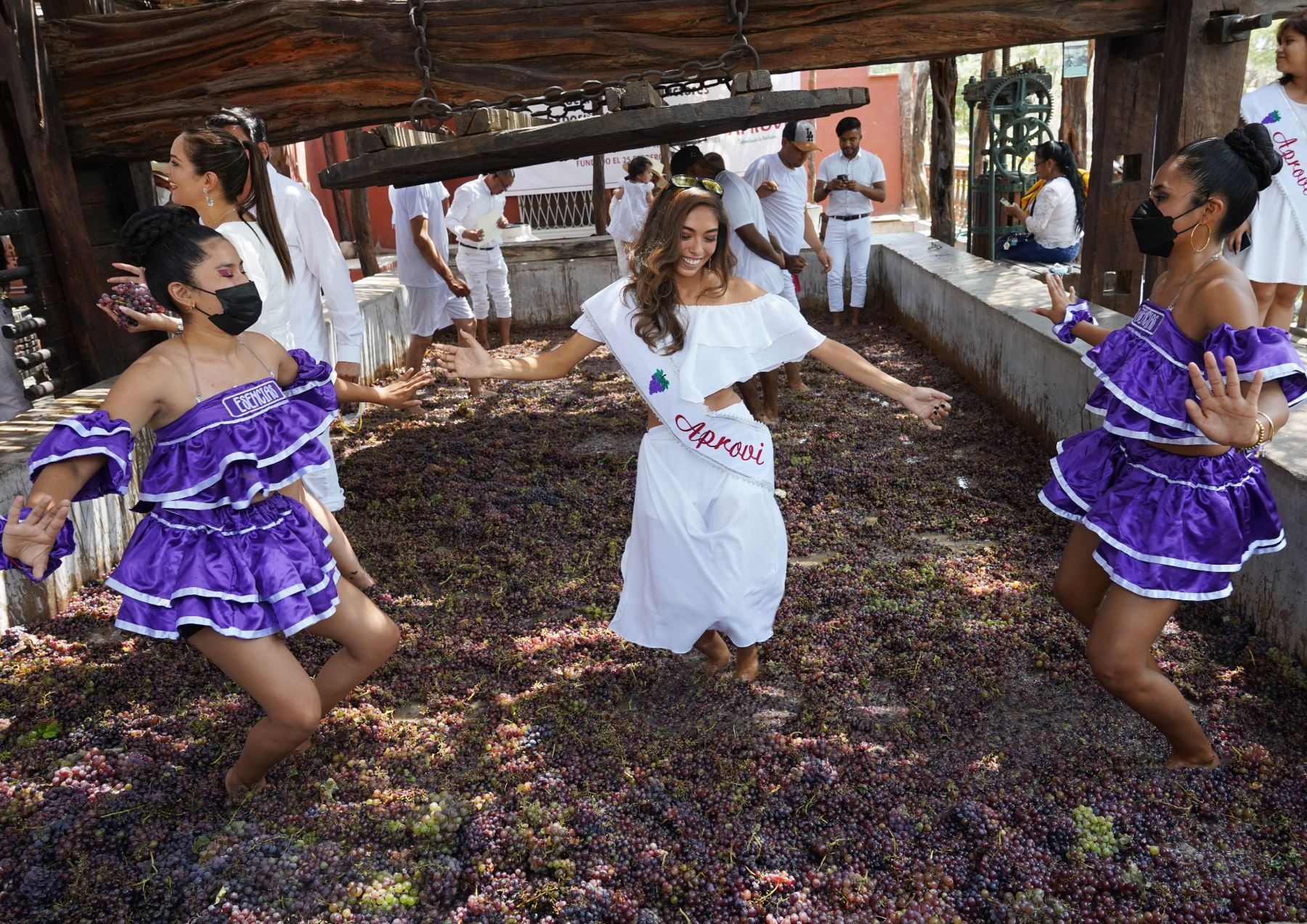 Festival de la Vendimia: 4 razones para no perdérsela — Revista Review